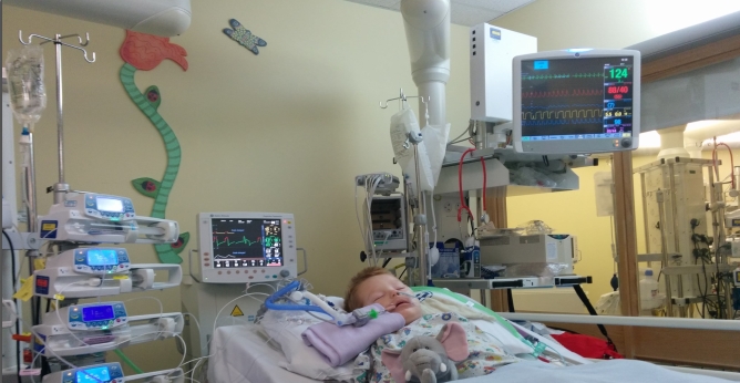 FHFT OLP: All courses